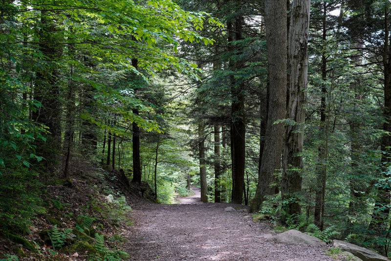 8 Ways To Live a More Outdoorsy Lifestyle